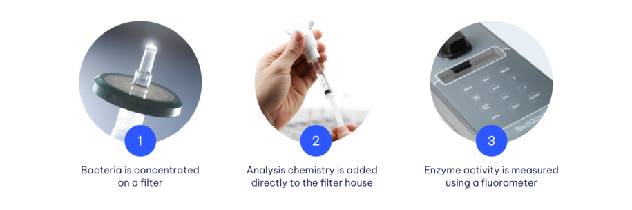Technology for monitoring bacterial content in water samples - BactiQuant