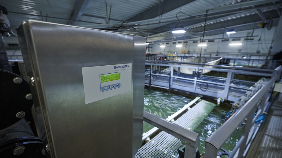 Rapidly assess microbial water quality in Aquaculture. - BactiQuant